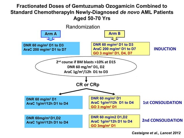 Elderly AML by Mohamad Mohty | PPT | Blood Disorders | Diseases and ...