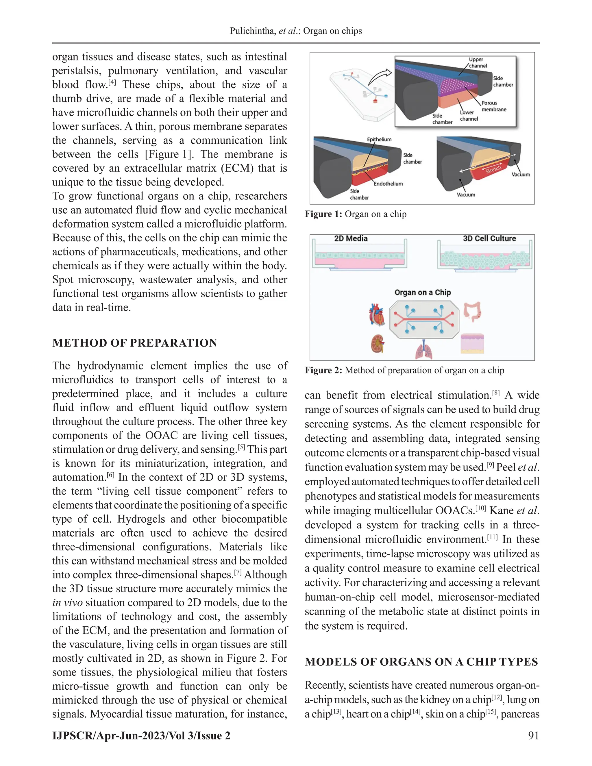 Organ on Chips: A New Paradigm for Alternative Animal Model in Drug Development | PDF