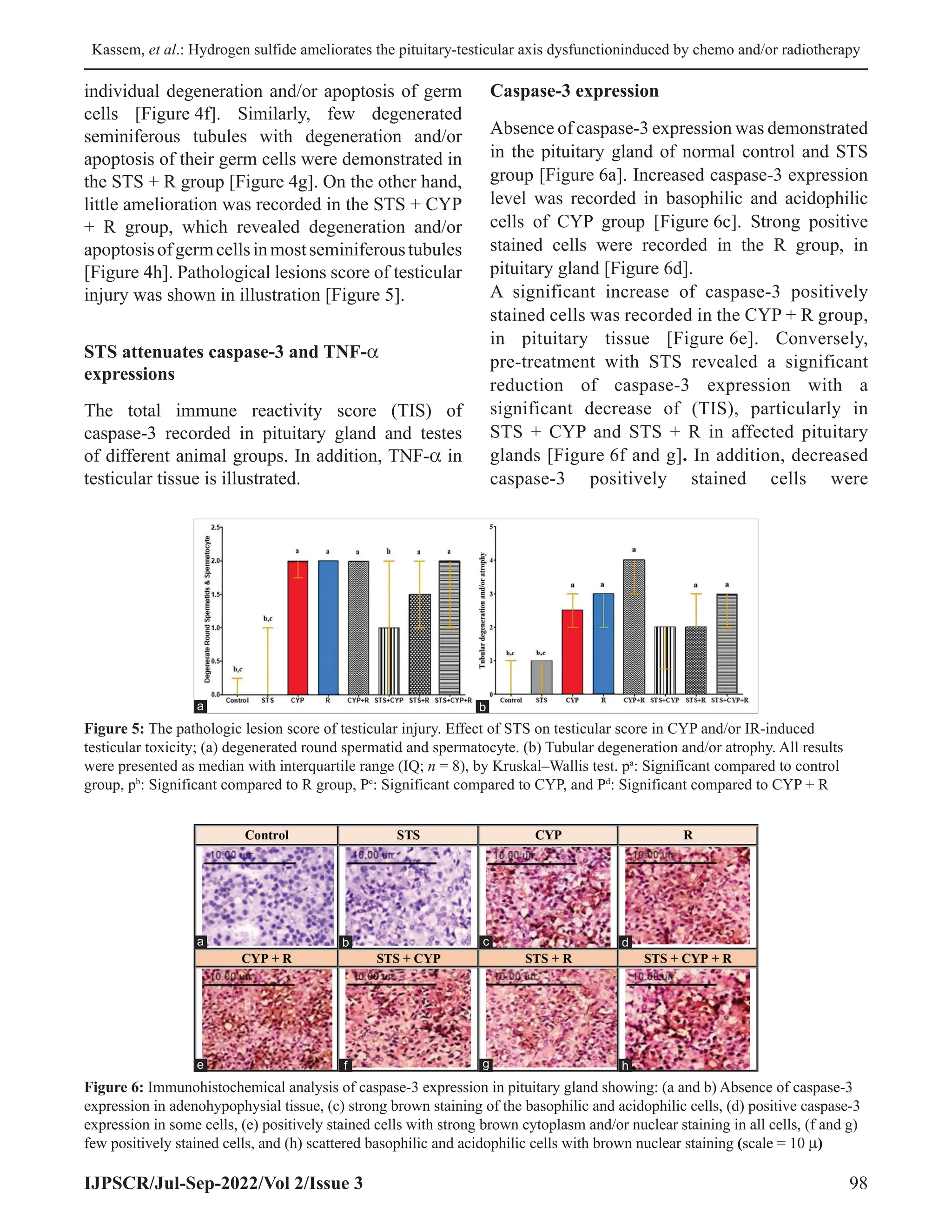 Sodium Thiosulfate (Hydrogen Sulfide Donor): Ameliorates the Pituitary ...