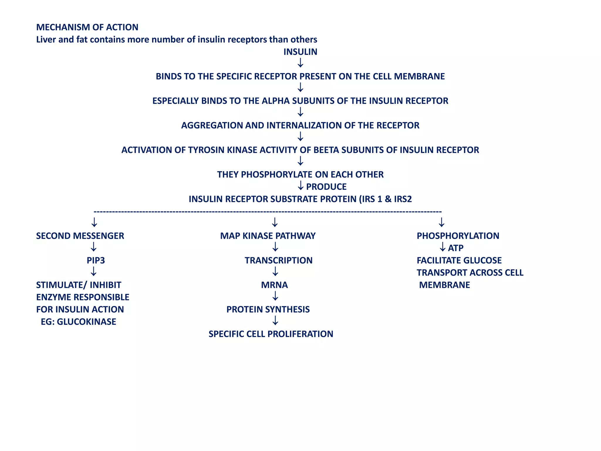 INSULIN & ITS PREPARATIONS | PPT