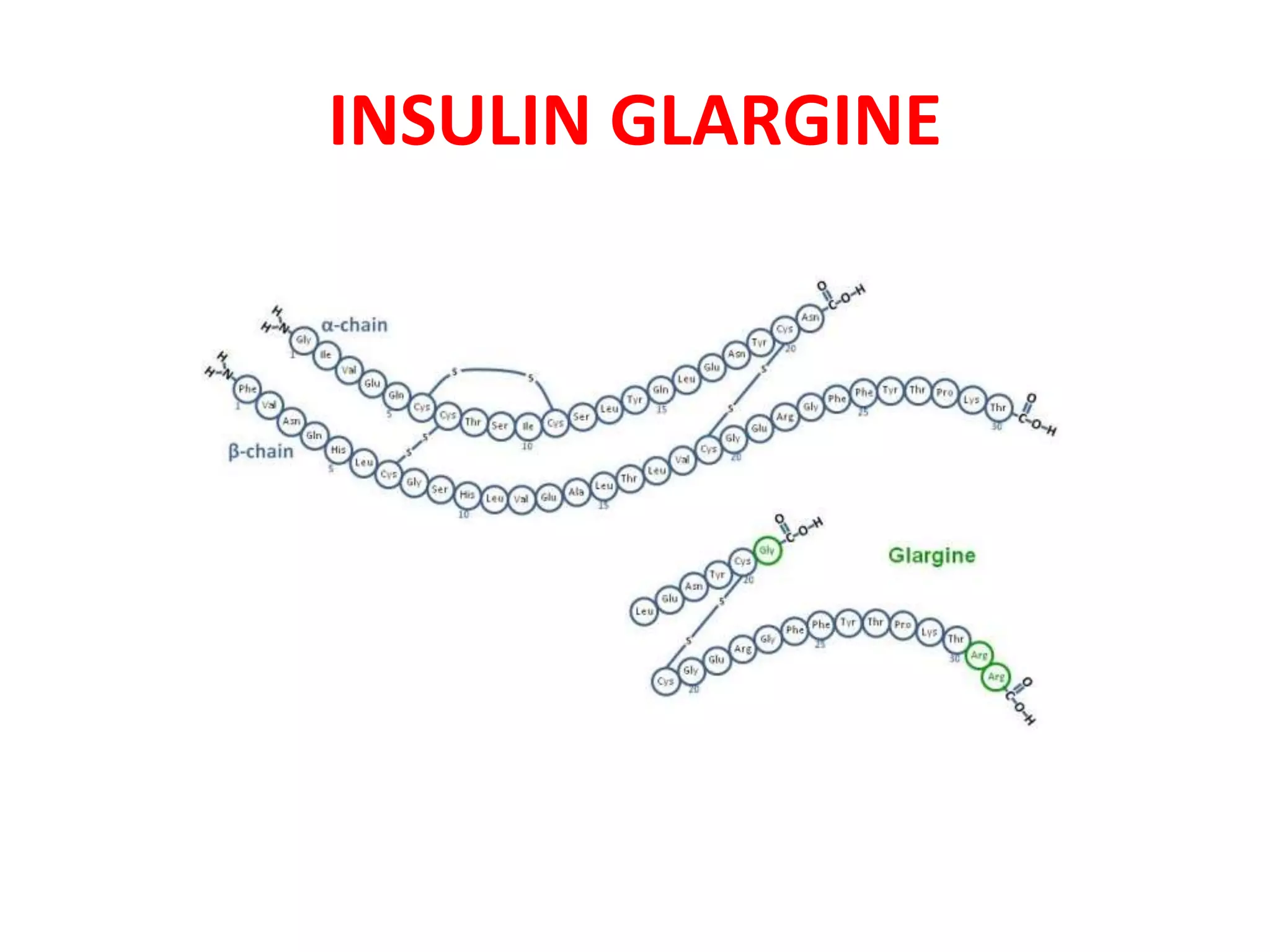 INSULIN & ITS PREPARATIONS | PPT