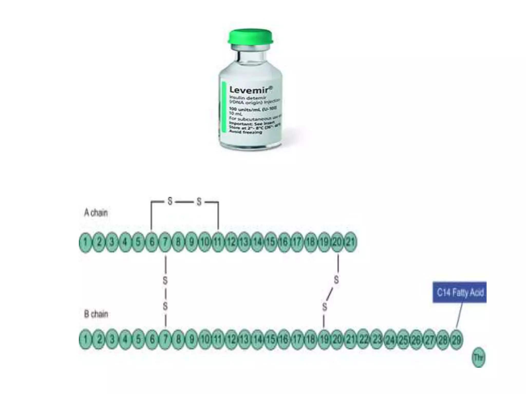 INSULIN & ITS PREPARATIONS | PPT