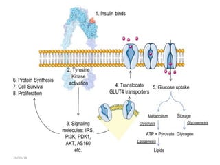 INSULIN & ITS PREPARATIONS | PPT