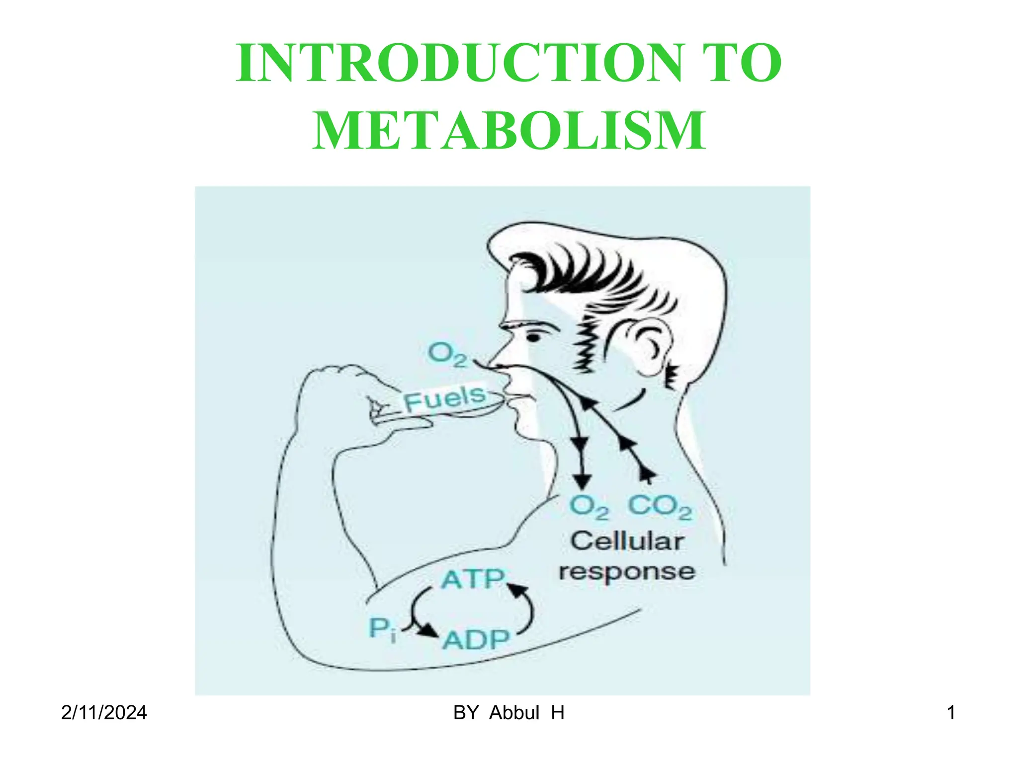 04 Intermediary Metabolismpresntat-1.ppt