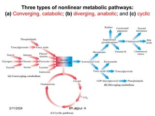 04 Intermediary Metabolismpresntat-1.ppt