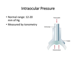 Intraocular Pressure.pptx