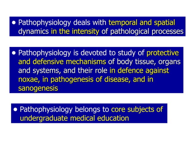 04Introduction_to_PF.ppt