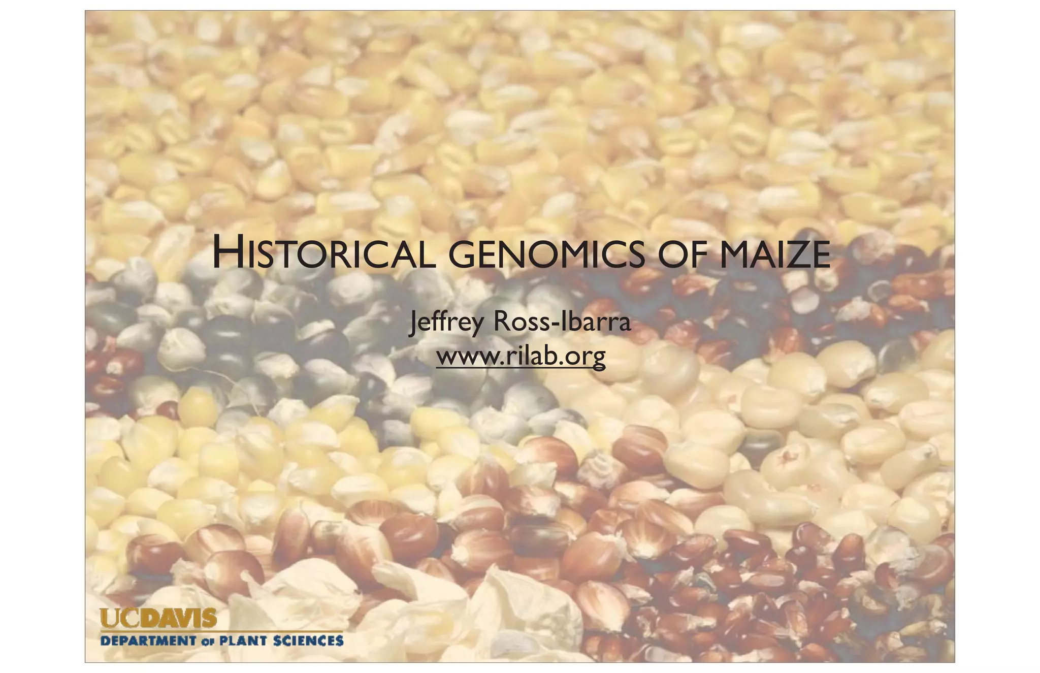 Historical Genomics of US Maize: Domestication and Modern Breeding | PPT