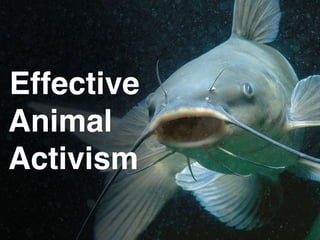 Effective Animal Activism | PDF