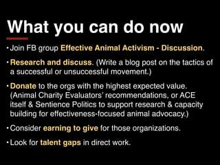 Effective Animal Activism | PDF