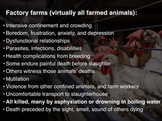 Effective Animal Activism | PPT