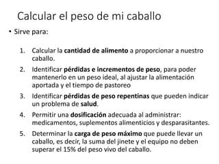 Equitación. LA CONDICIÓN CORPORAL DEL CABALLO.pdf