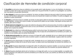 Equitación. LA CONDICIÓN CORPORAL DEL CABALLO.pdf