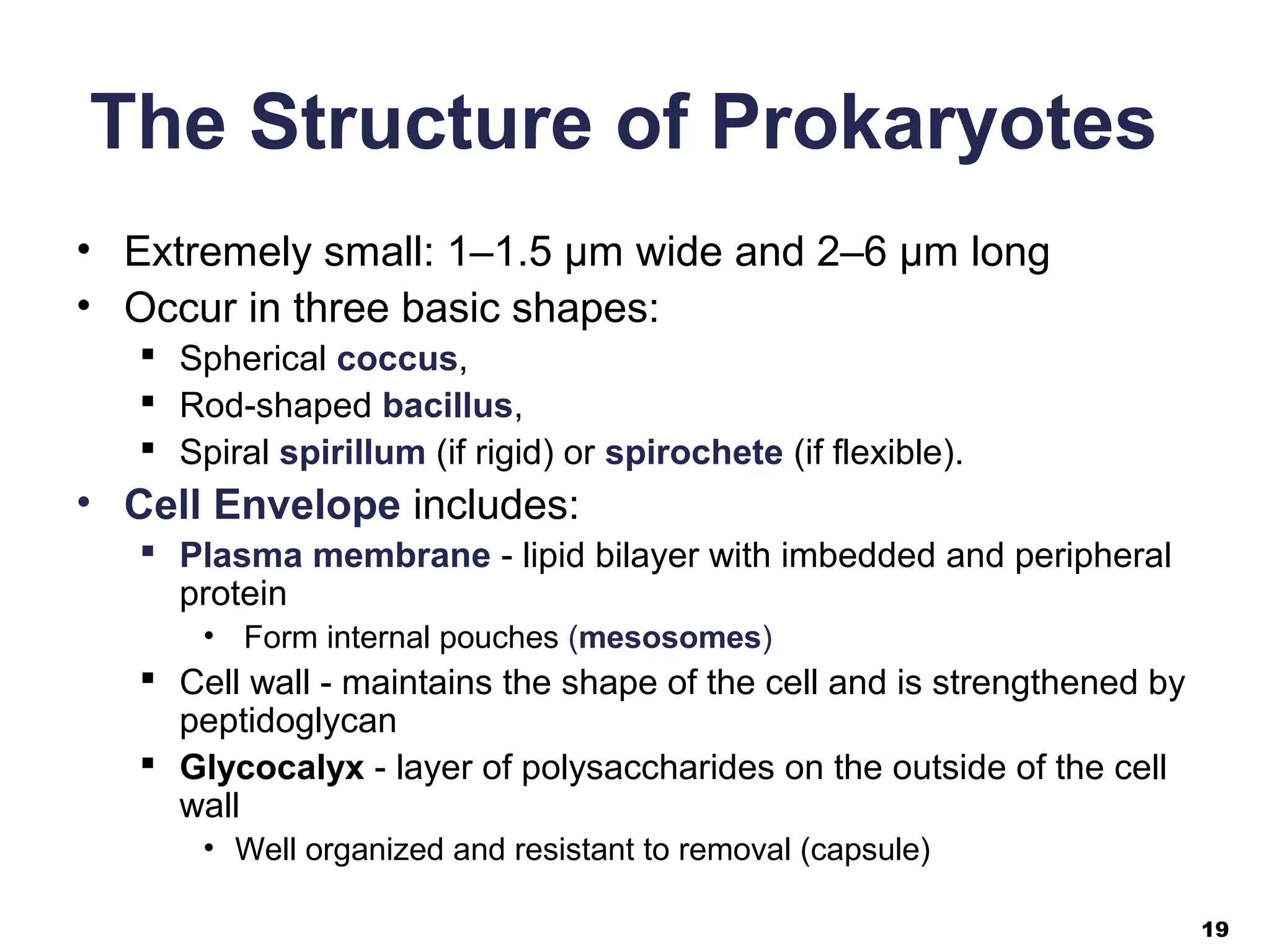 04 lecture ppt cell structure and function | PPT