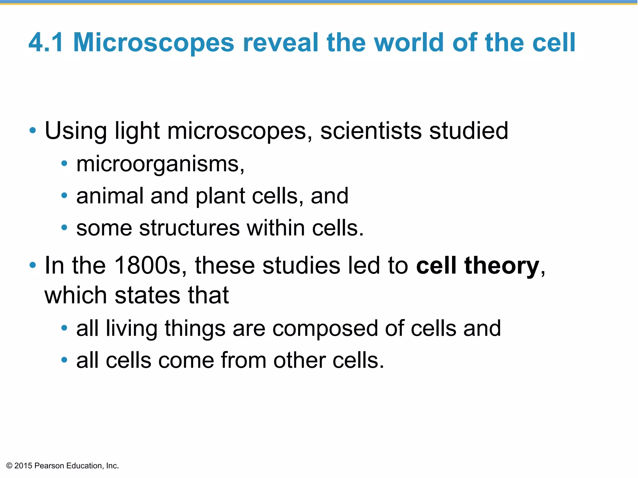 Ch. 4 Cell Structures | PPTX