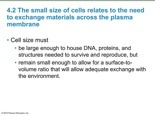 Ch. 4 Cell Structures | PPTX | Biological Sciences | Science