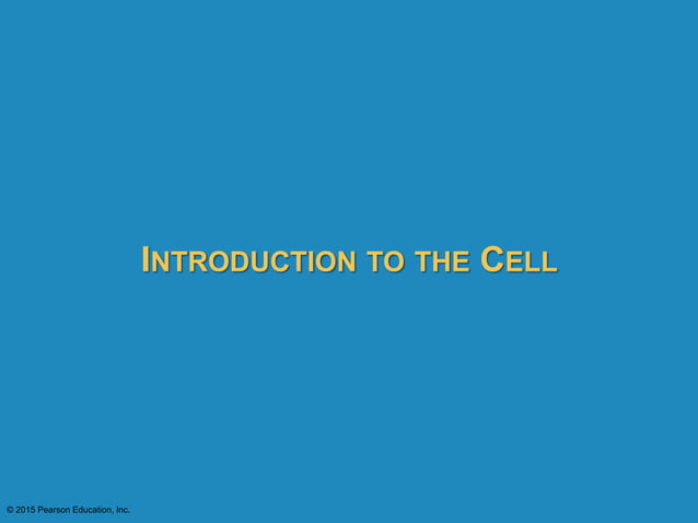 Ch. 4 Cell Structures | PPTX | Biological Sciences | Science