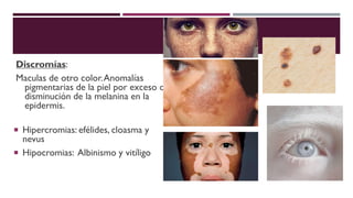Lesiones de la piel | PDF