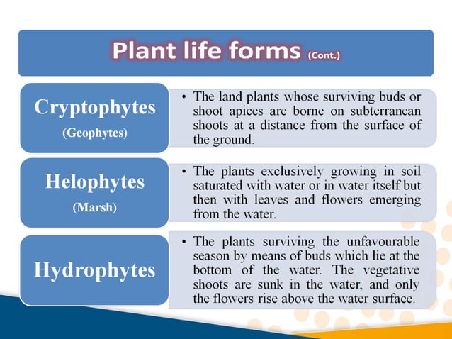 Plant life forms | PPT