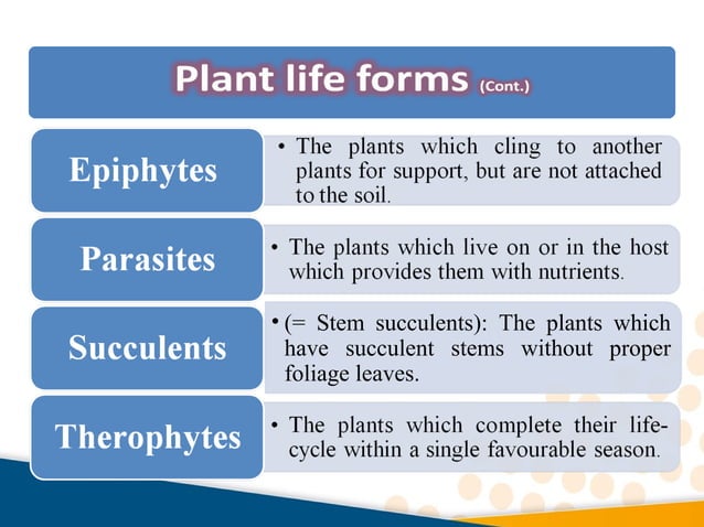Plant life forms | PPT