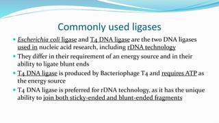 04 Ligation of DNA_JO_FC. department of microbiologyppt | PDF