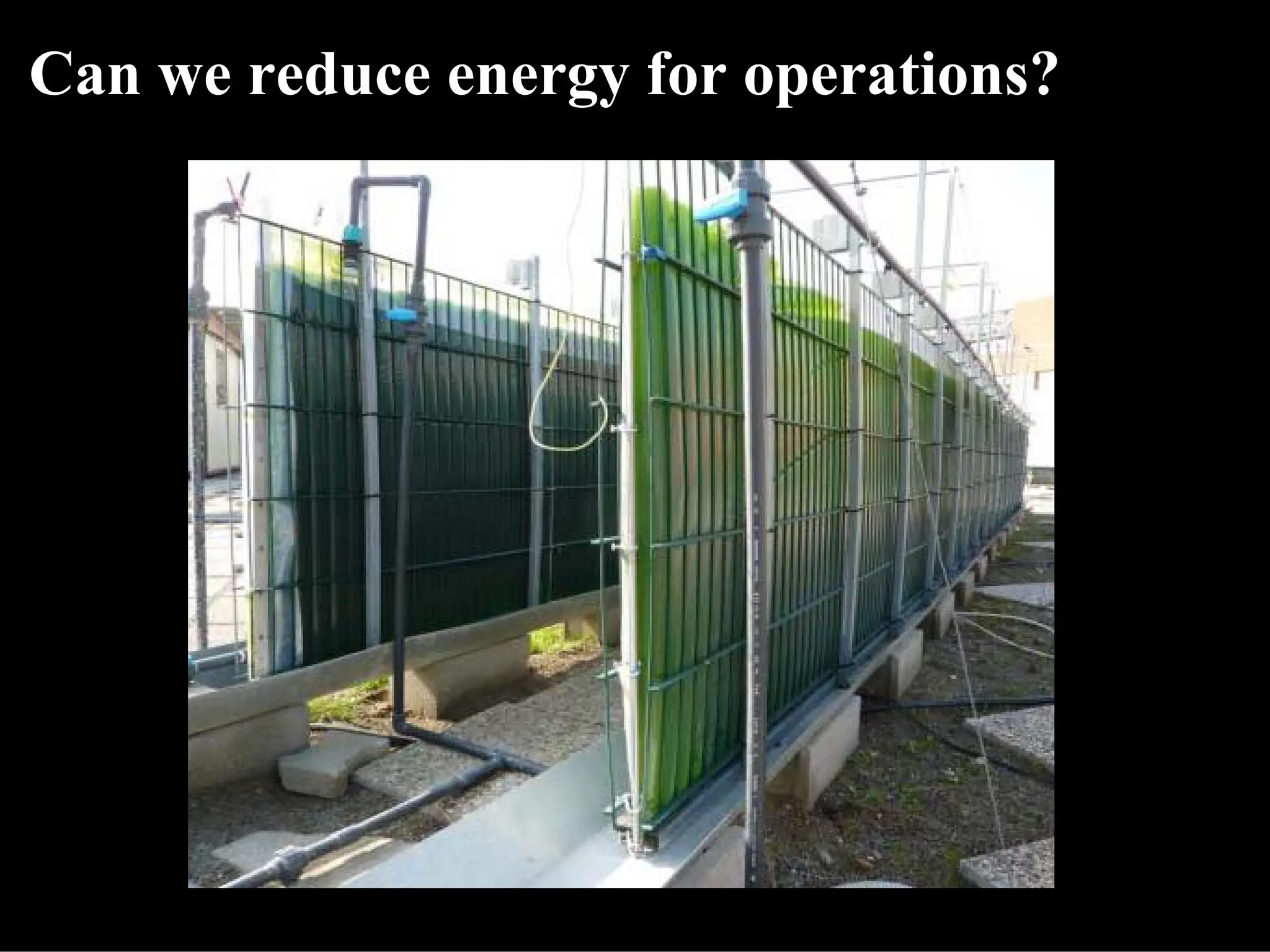 Algae culture in different model and locations.pdf