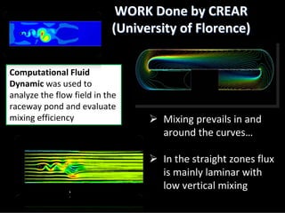 Algae culture in different model and locations.pdf