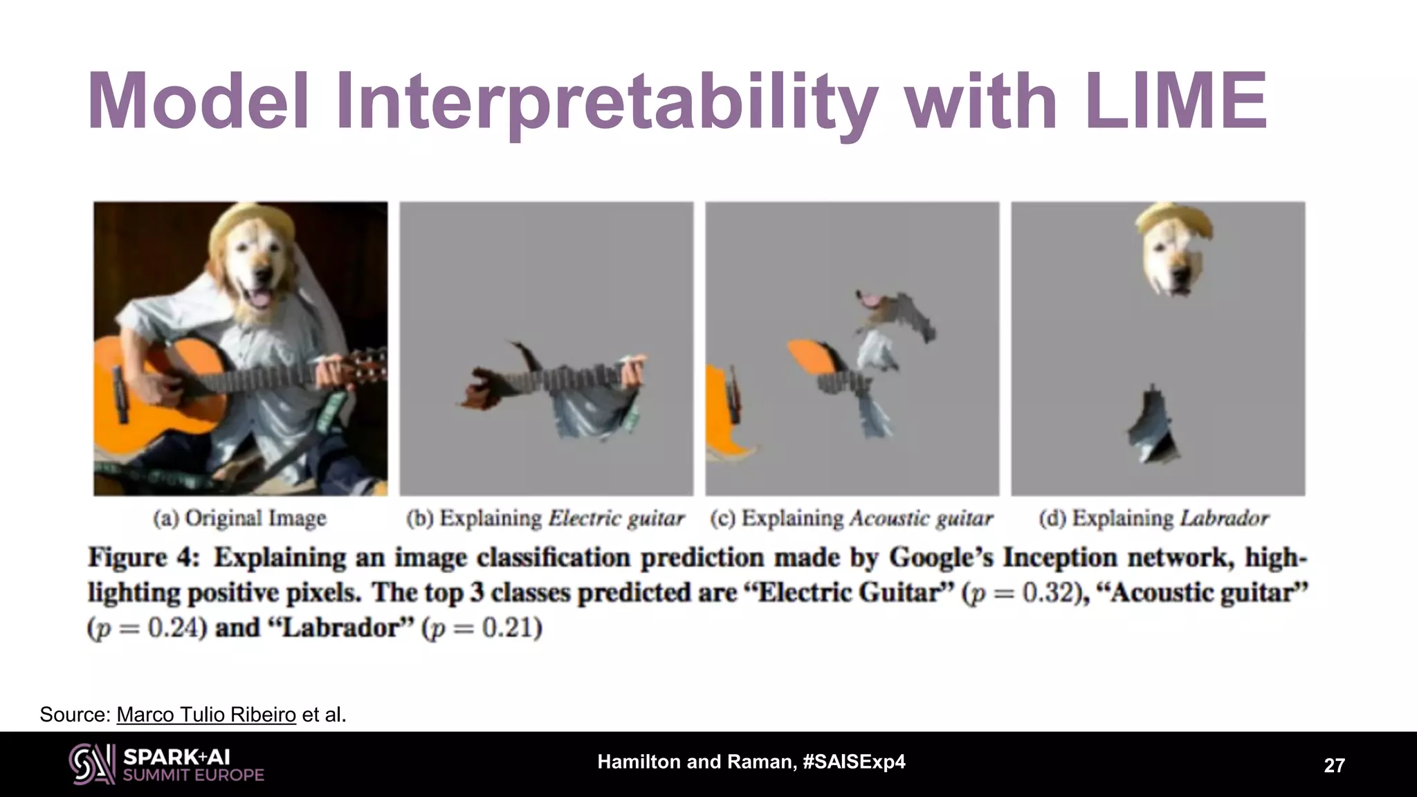 Deep Reality Simulation For Automated Poacher Detection With Mark Hamilton And Anand Raman Ppt
