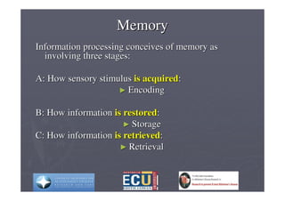 Memory: A brief introduction | PDF | Brain and Nervous System Disorders ...