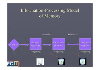 Memory: A brief introduction | PDF | Brain and Nervous System Disorders ...