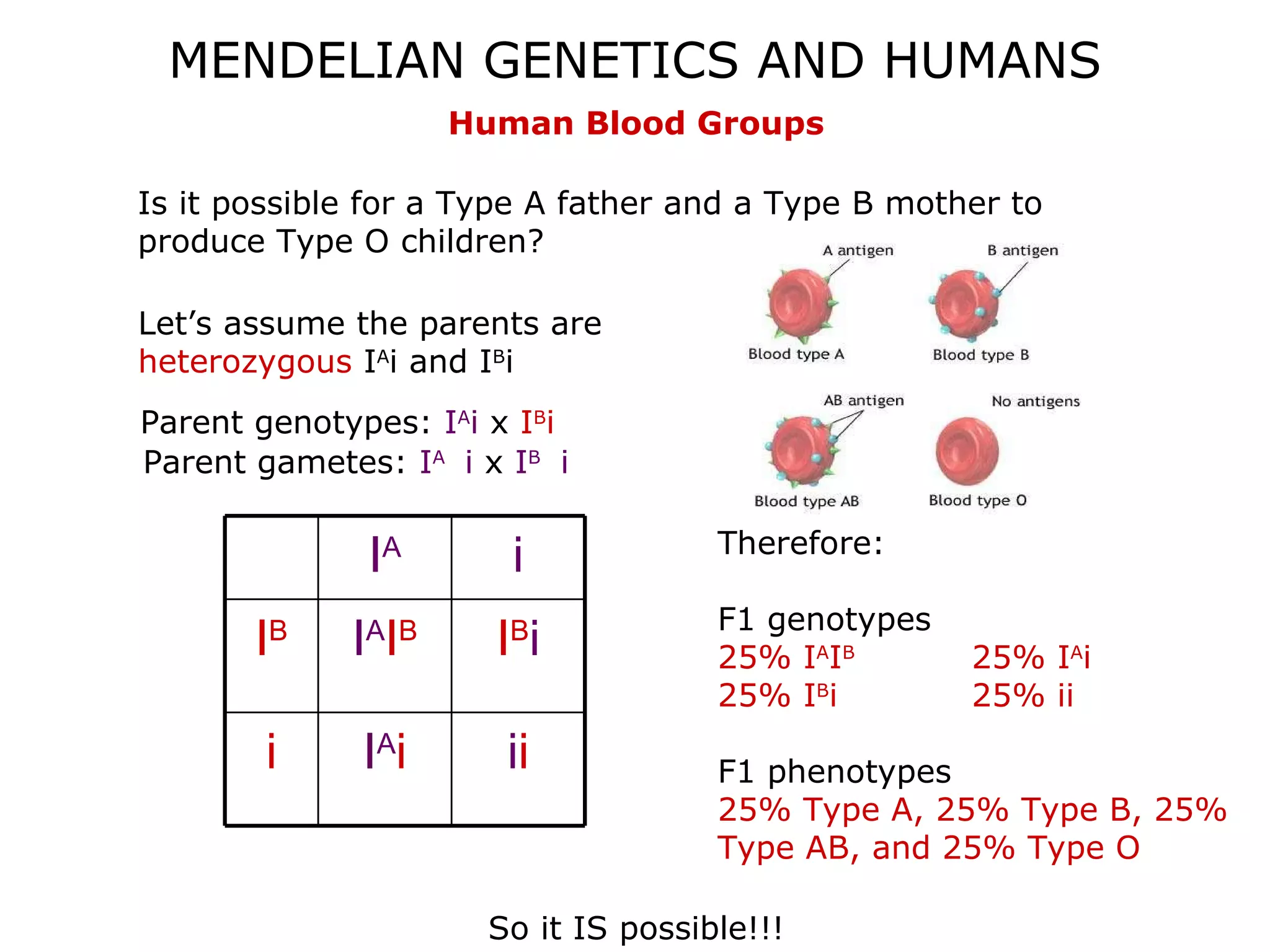 04 mendelian genetics and humans | PPT