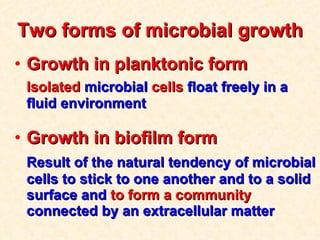 04 microbial biofilm_i_2008 | PPT
