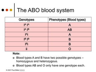 MULTIPLE_ALLELES.ppt