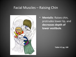 MUSCLES OF FACIAL EXPRESSION | PPT