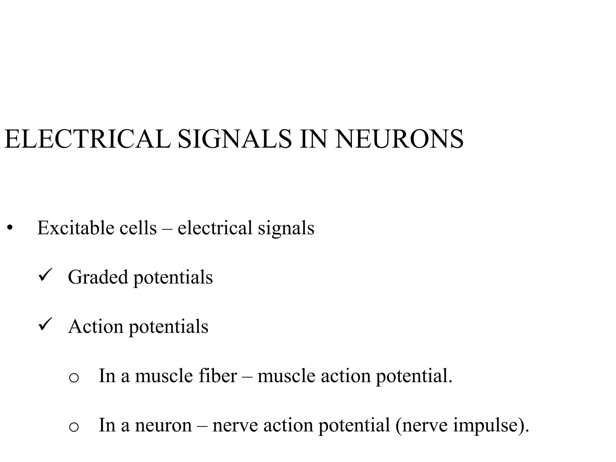 04 nerve physiology.ppt