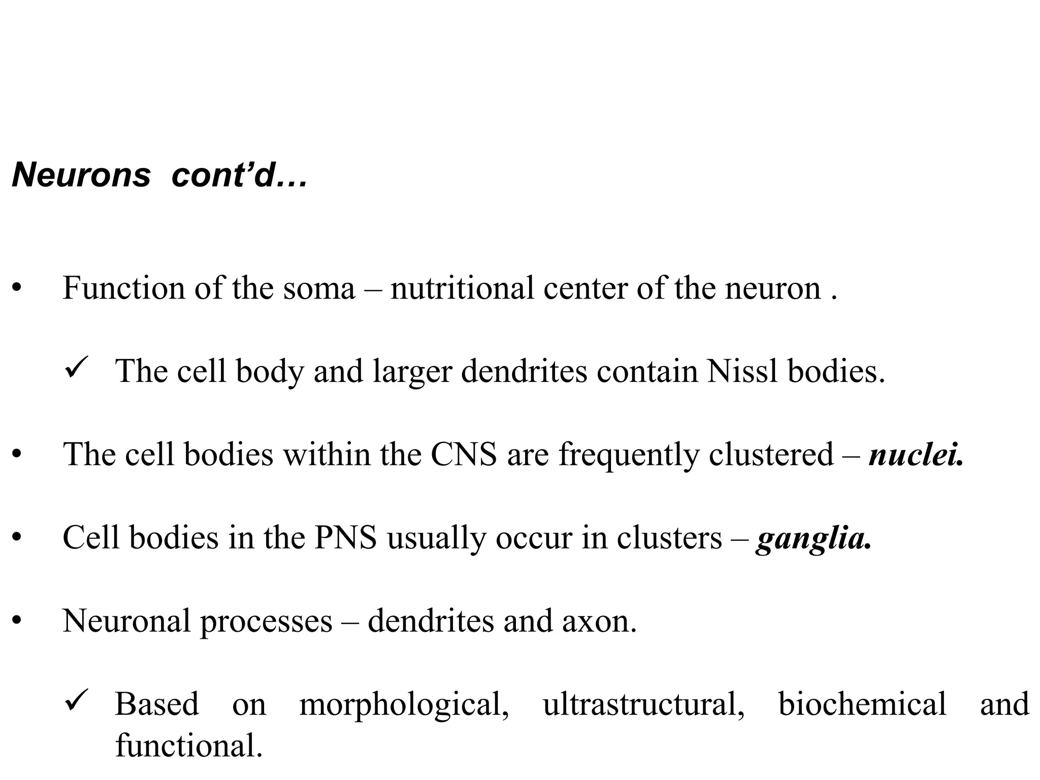 04 nerve physiology.ppt