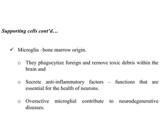 04 nerve physiology.ppt