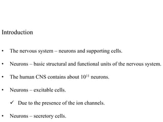 04 nerve physiology.ppt