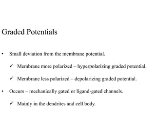 04 nerve physiology.ppt