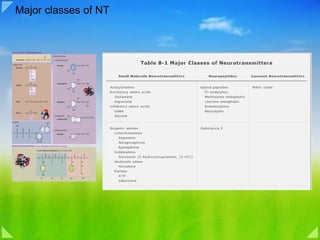 04 nerve singnal processing | PPT