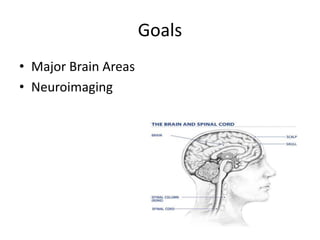 Introductory Psychology: Brain | PPTX