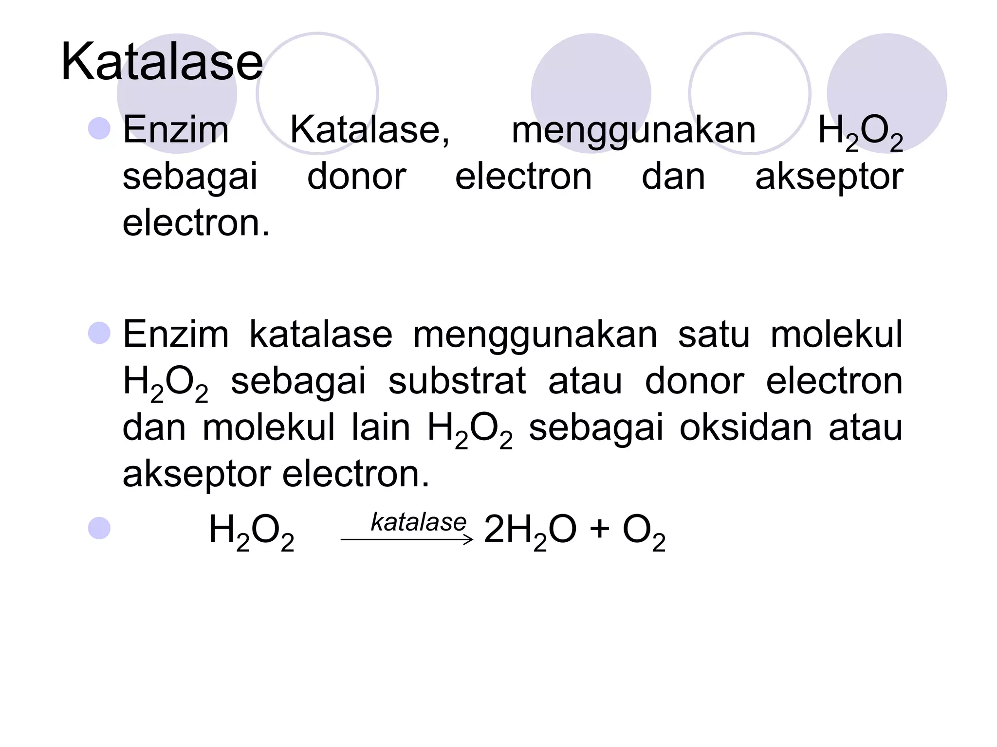 Oksidasi biologi dan bioenergetika | PPTX