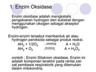 Oksidasi biologi dan bioenergetika | PPTX