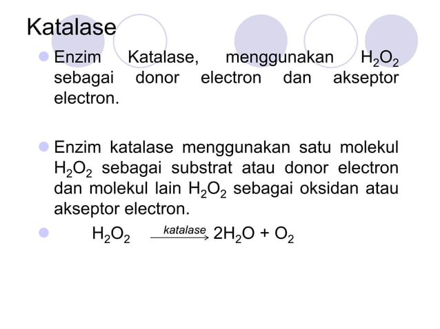 Oksidasi biologi dan bioenergetika | PPTX