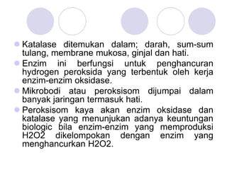 Oksidasi biologi dan bioenergetika | PPTX
