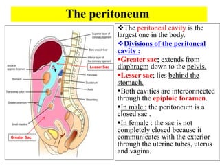 04 OMENTUM-2012.ppt