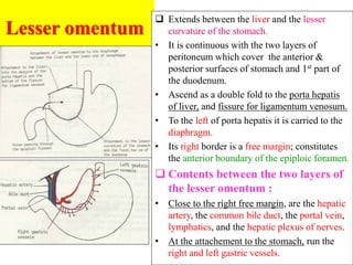 04 OMENTUM-2012.ppt