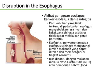 04 Patologi Manusia - Gangguan Saluran Cerna dan Kaitannya dengan ...