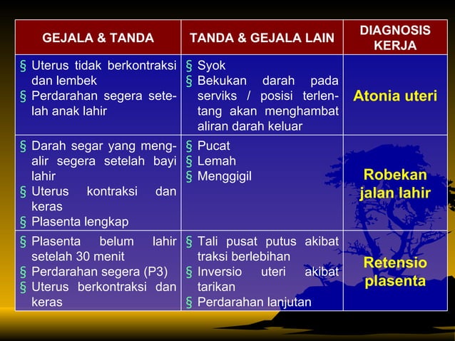 04 perdarahan pasca persalinan | PPT