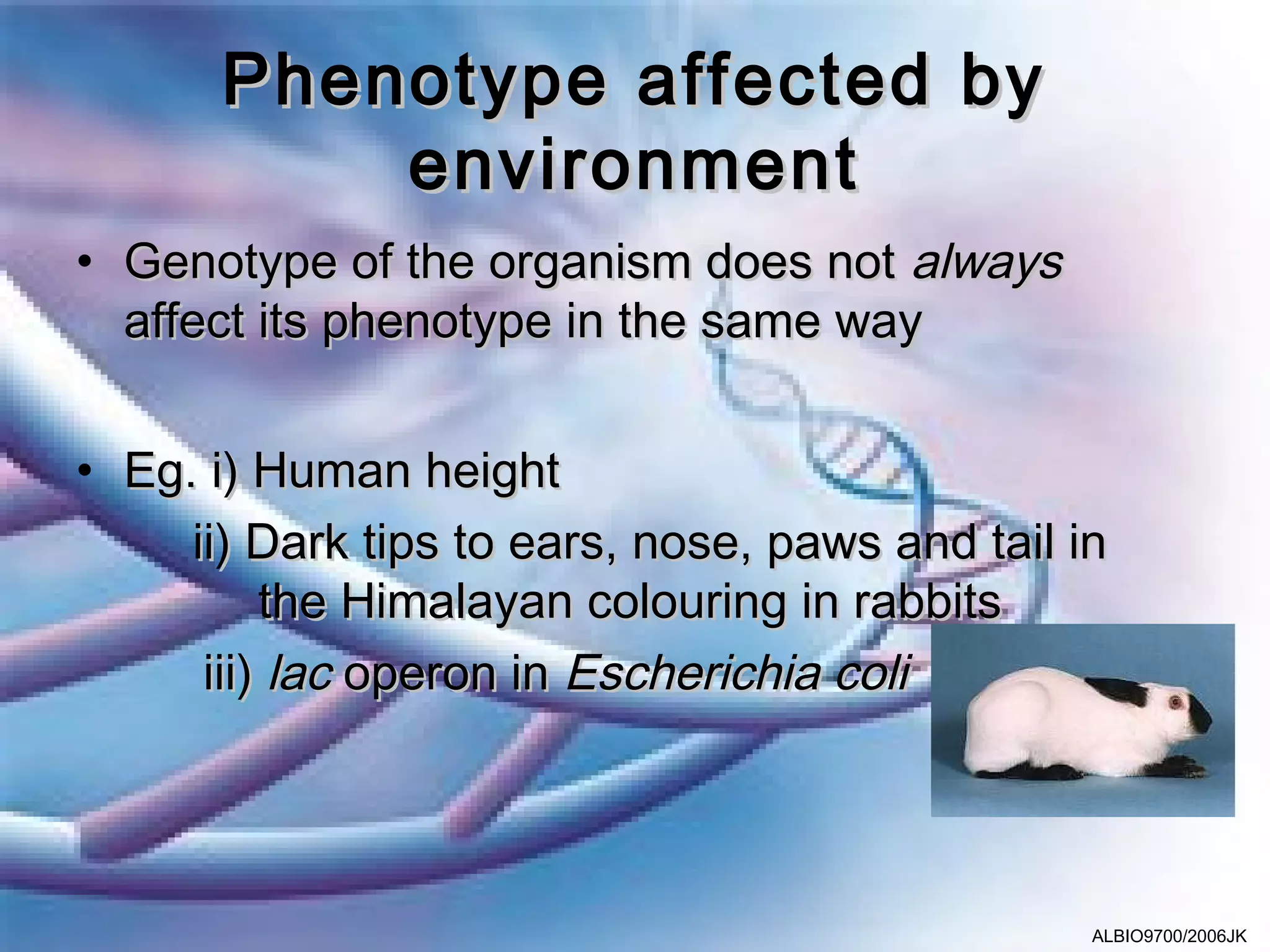 04 Phenotype Change Mutation and Environment | PPT
